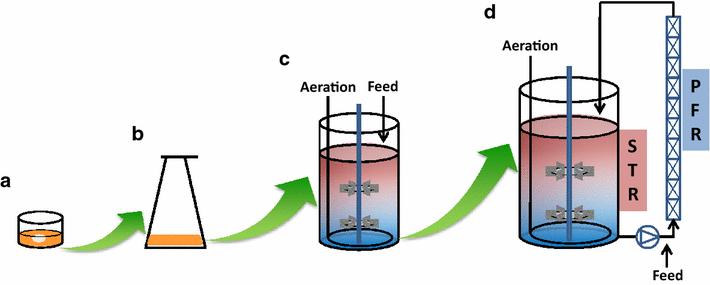 Fermentation Support for Biopharma APIs - BOC Sciences