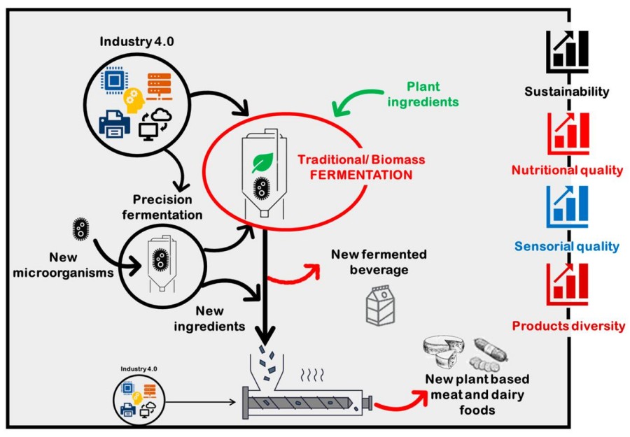 Fermentation for Plant-Based Foods - BOC Sciences